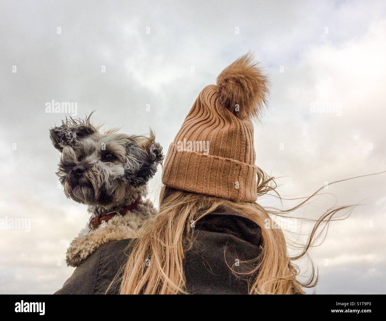 Windy day funny hi-res stock photography and images - Alamy