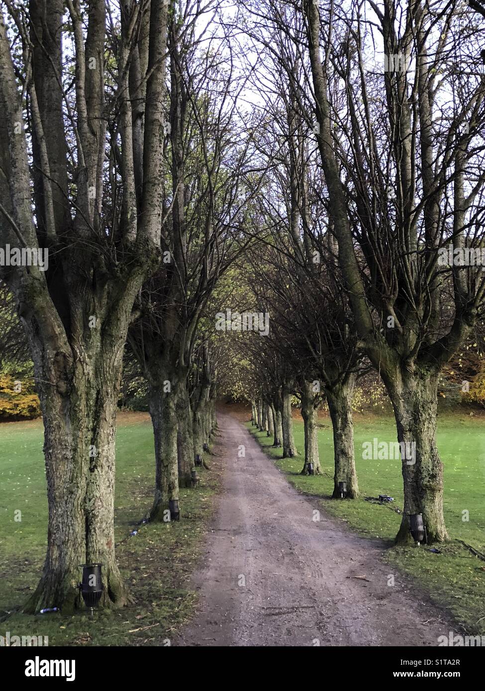 Forres scotland hi-res stock photography and images - Alamy