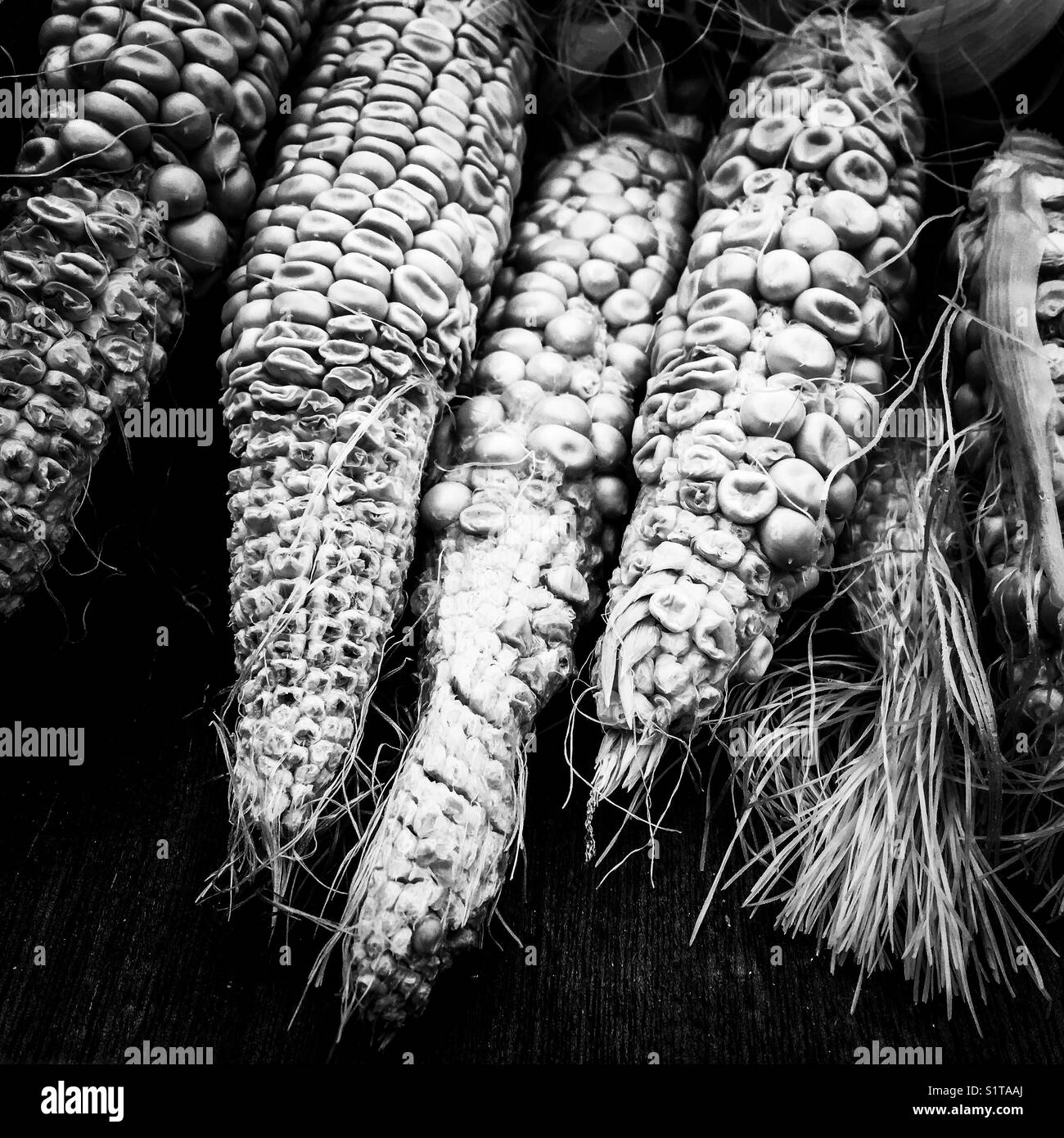 Kernel Black and White Stock Photos & Images - Alamy