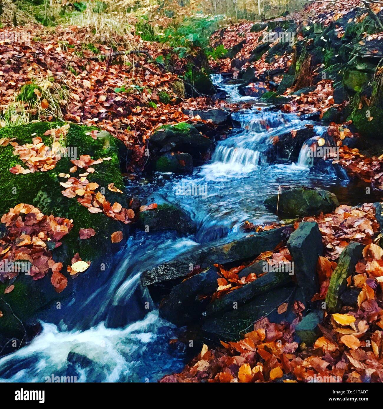 Beautiful brook lined with autumn leaves Stock Photo - Alamy
