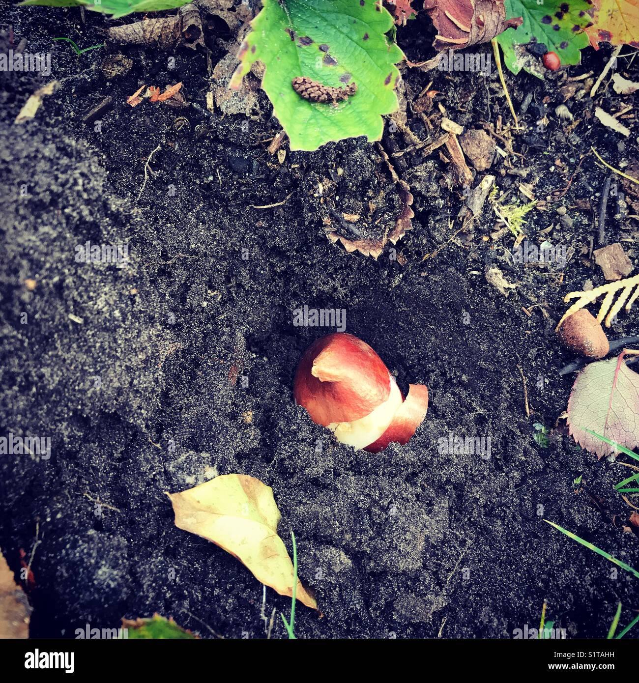 Prepare for spring weather hi-res stock photography and images - Alamy