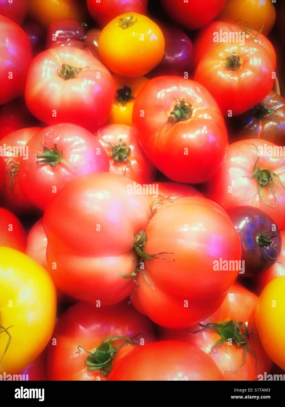 Heirloom tomato flat lay hi-res stock photography and images - Alamy