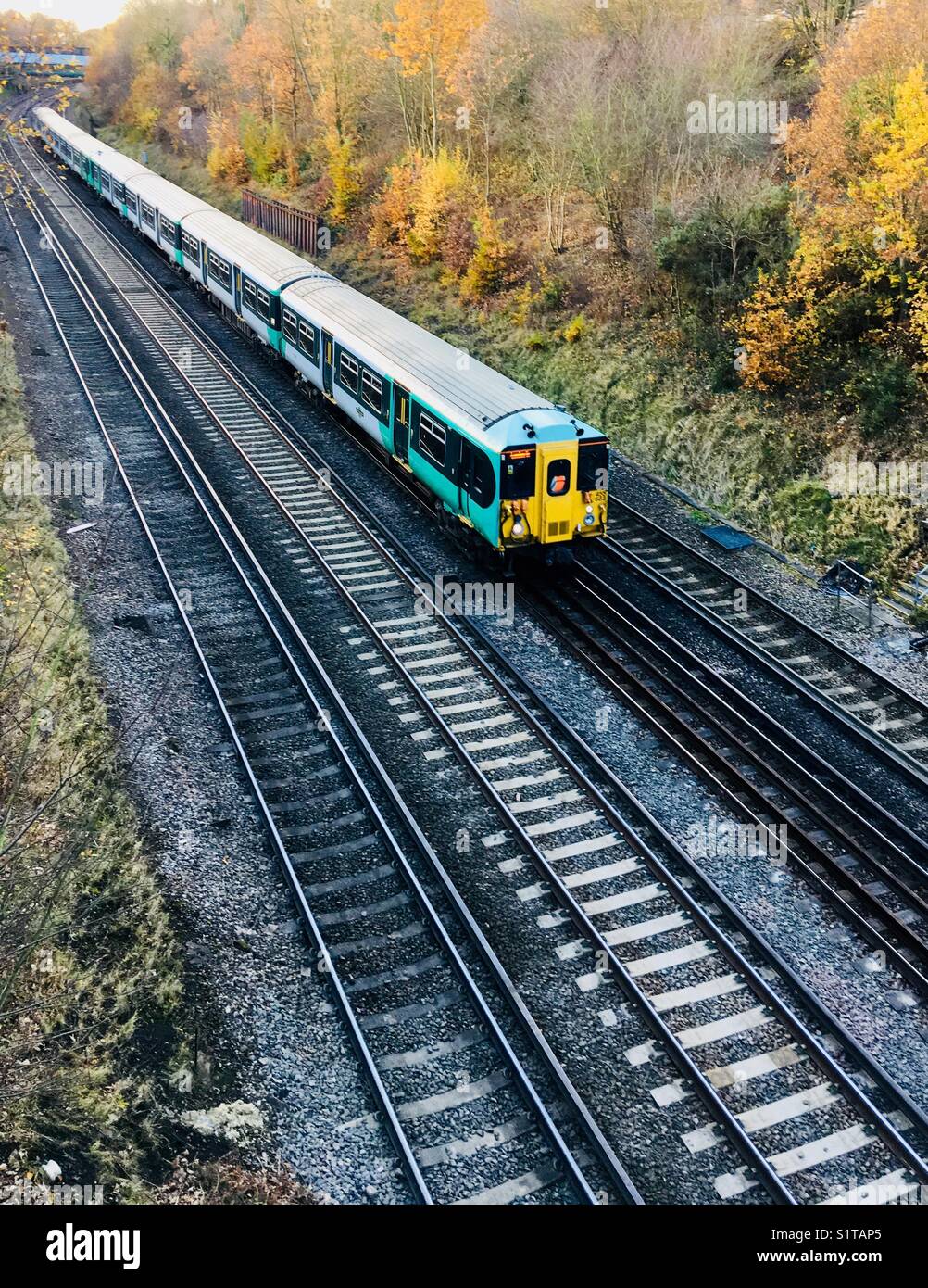 Southern rail hi-res stock photography and images - Alamy