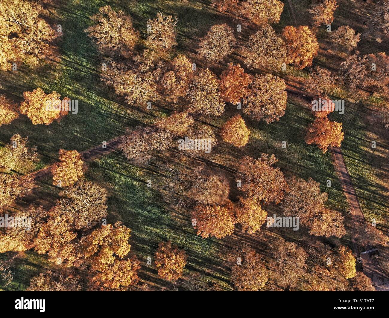 Aerial of autumn trees hi-res stock photography and images - Alamy