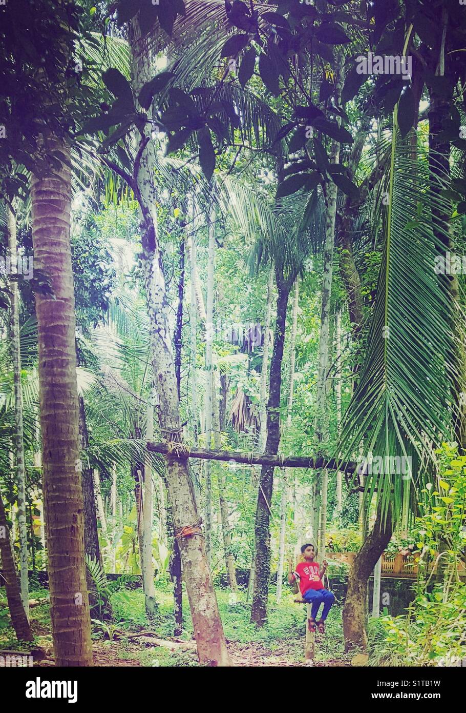 One with nature Stock Photo - Alamy