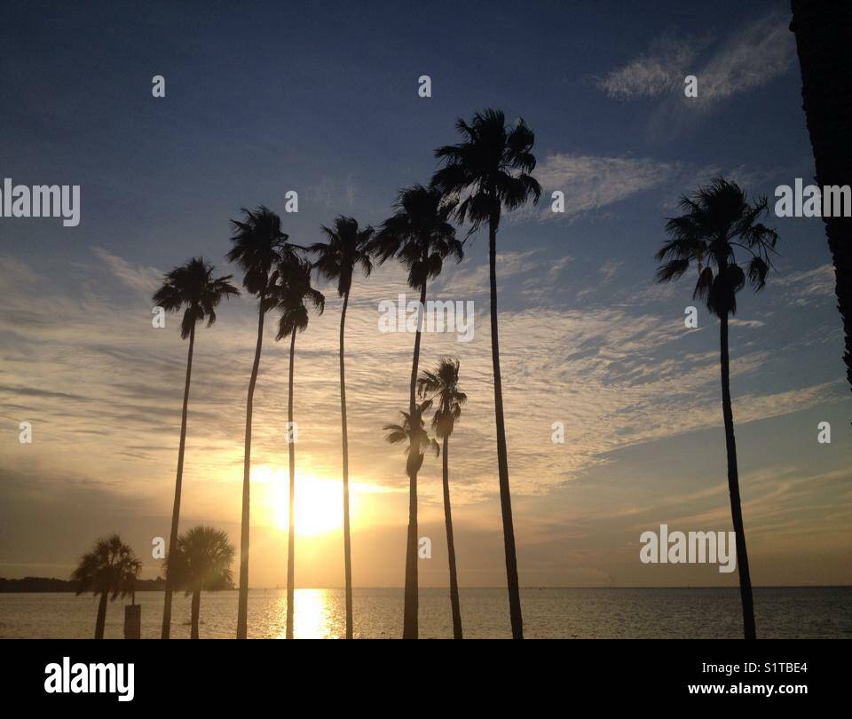 Vinoy park petersburg hi-res stock photography and images - Alamy