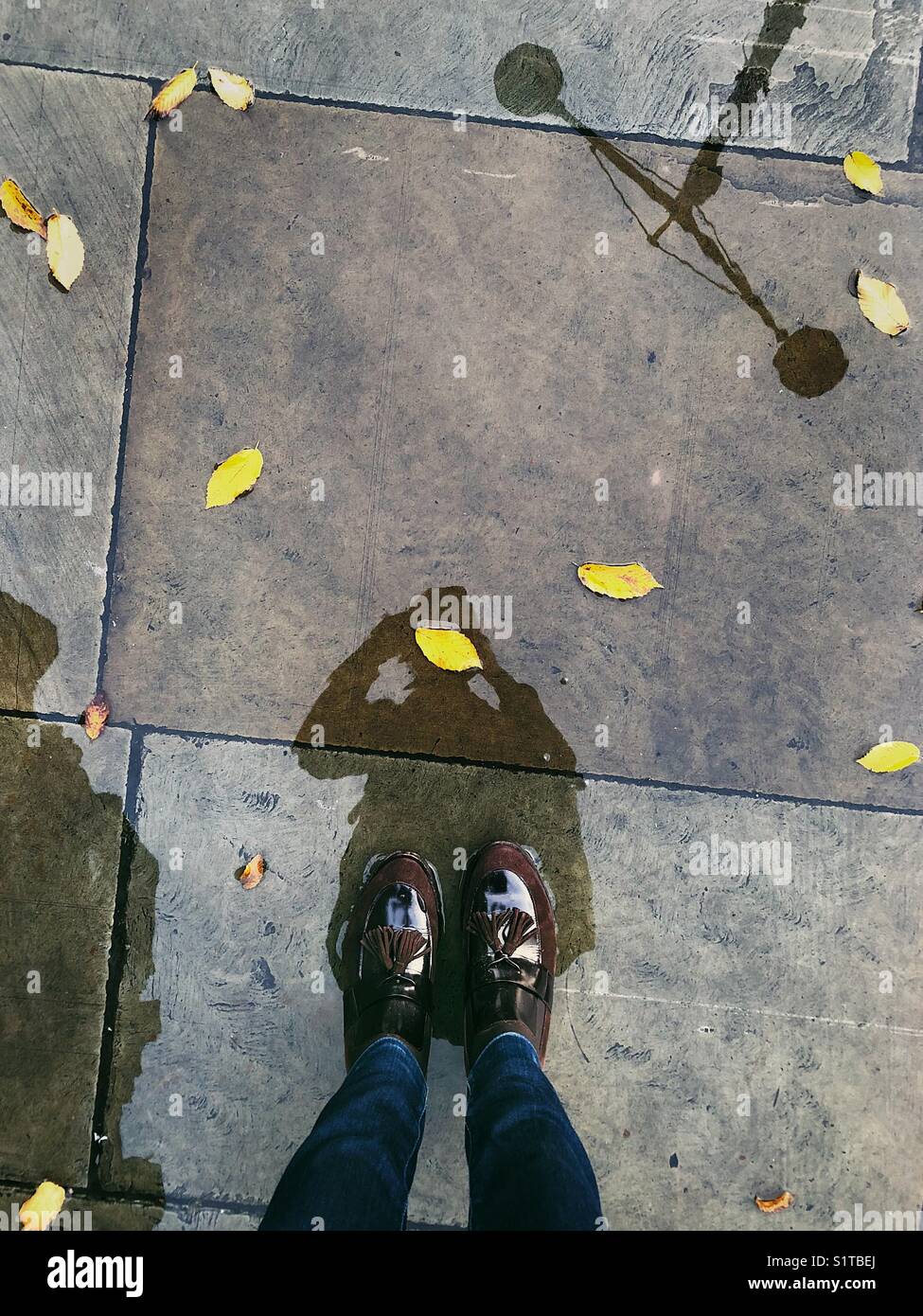 Puddle around hi-res stock photography and images - Alamy