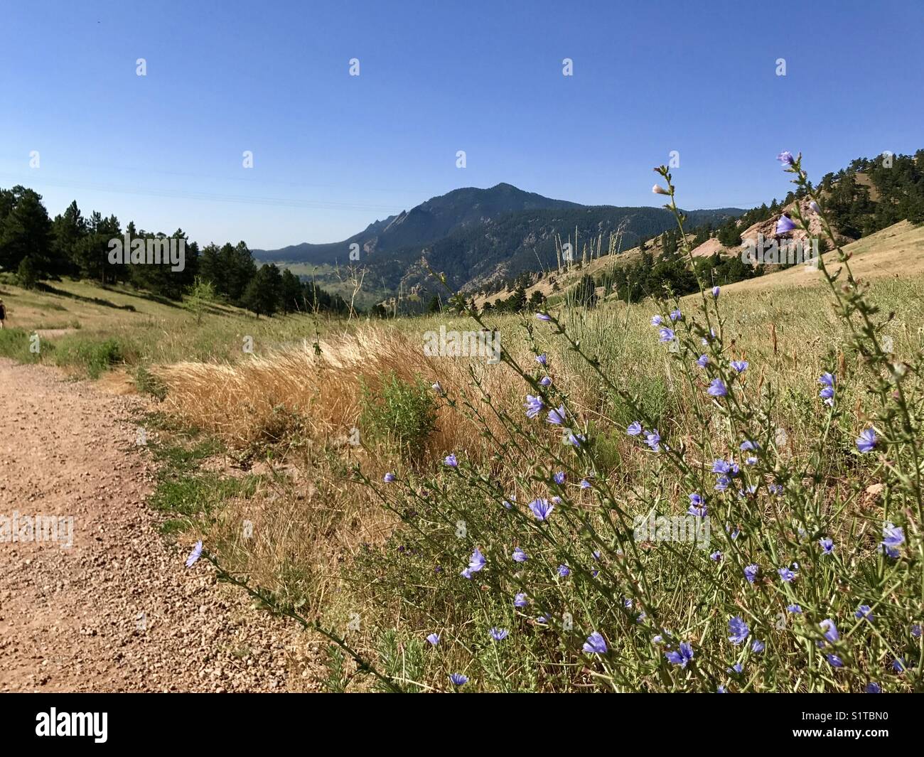 Boulder colorado mountains hi-res stock photography and images - Alamy
