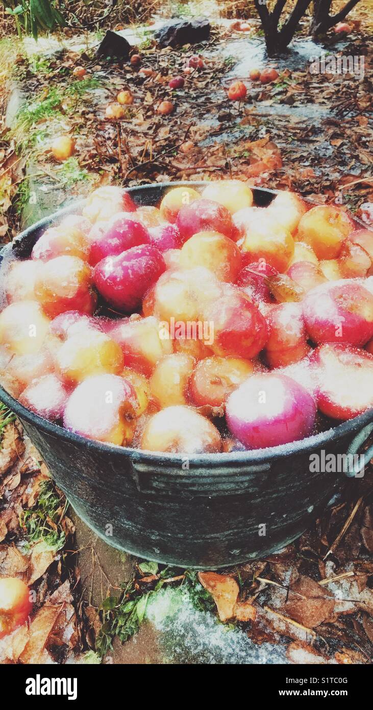 Ice Basin High Resolution Stock Photography and Images - Alamy