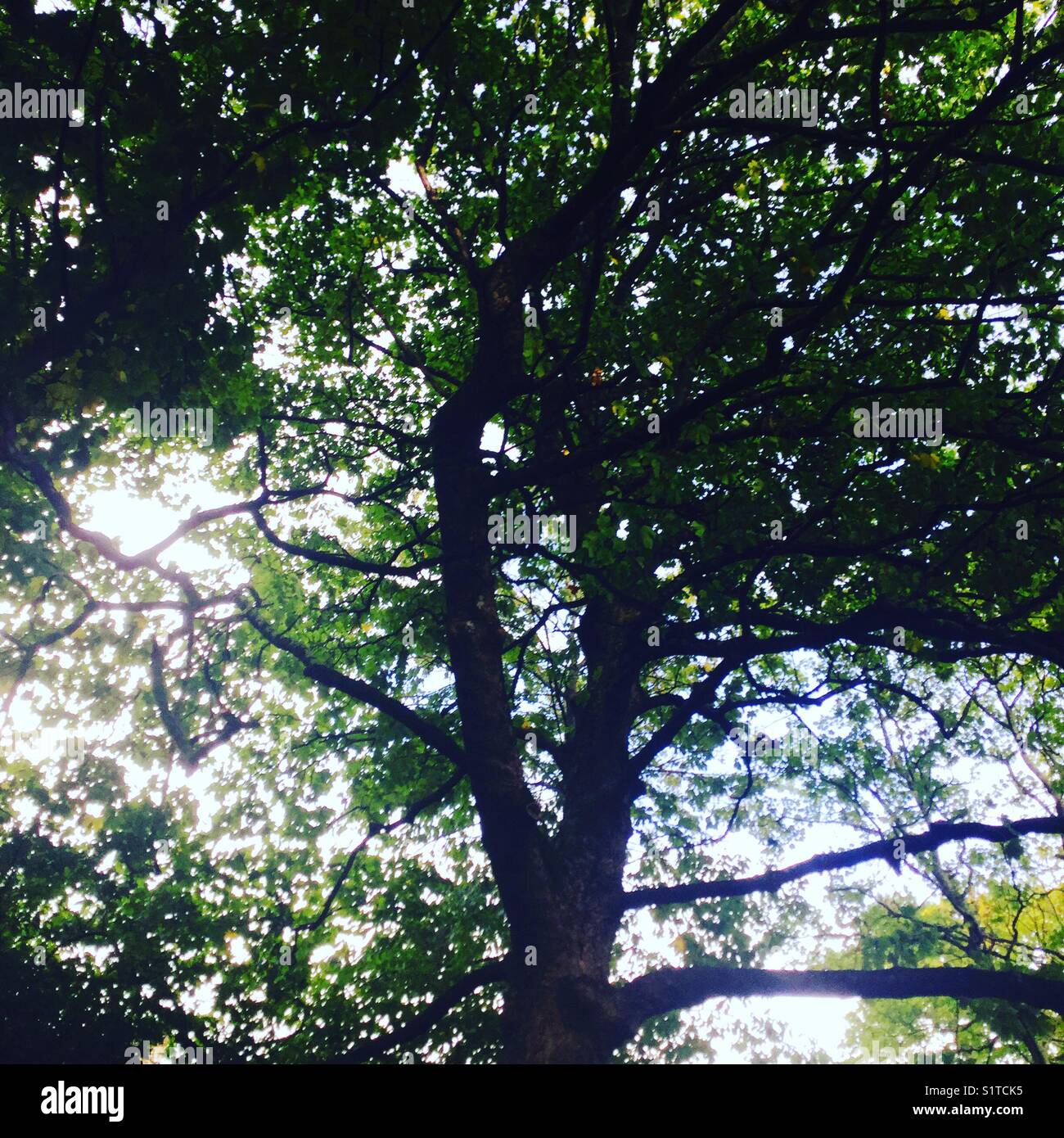 Cardiff in summer hi-res stock photography and images - Alamy