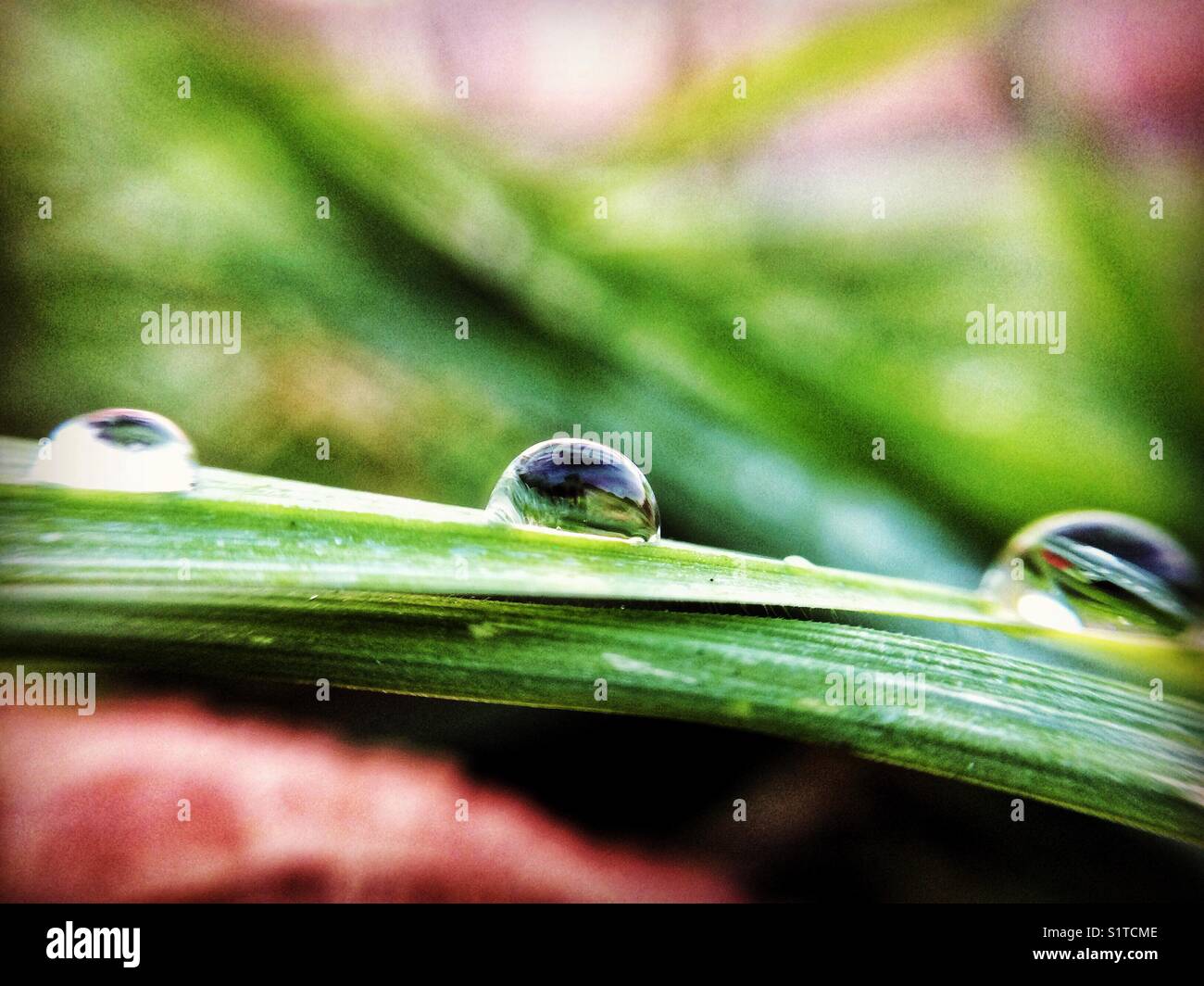 Three drops hi-res stock photography and images - Alamy