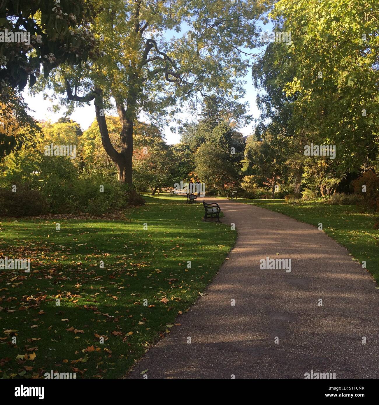 British park hi-res stock photography and images - Alamy