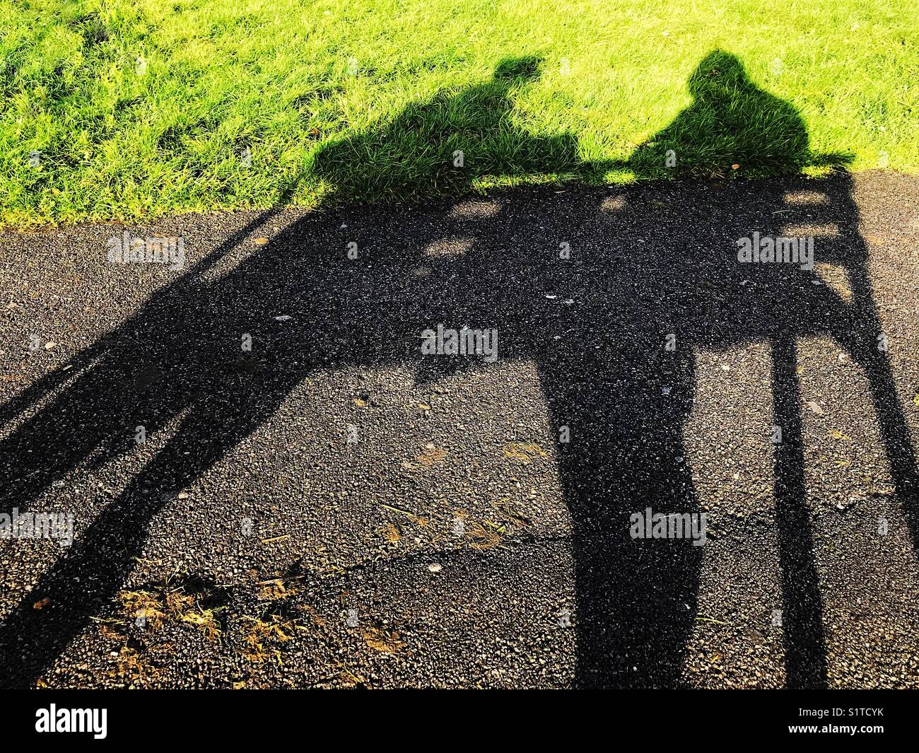 Shadow of two people sitting on a park bench in the early morning sun ...