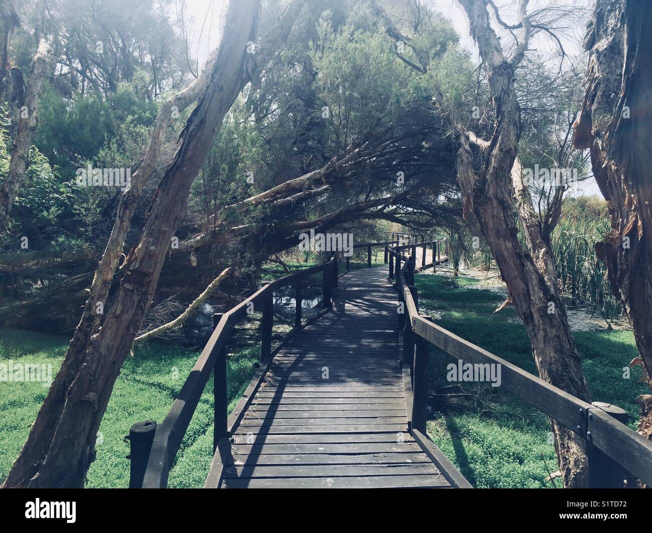 Wetlands bridge hi-res stock photography and images - Alamy