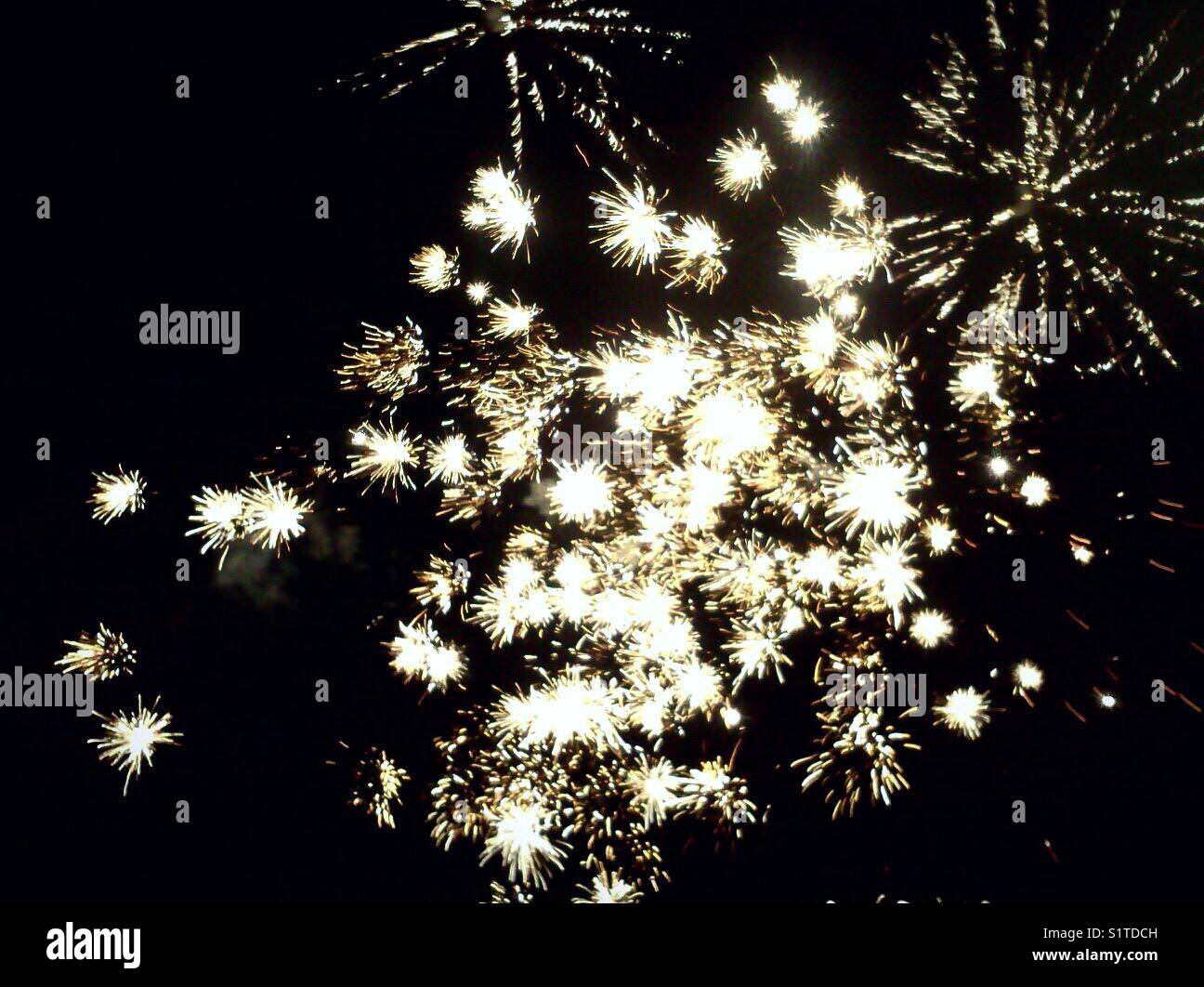 Fireworks in the night sky Stock Photo - Alamy