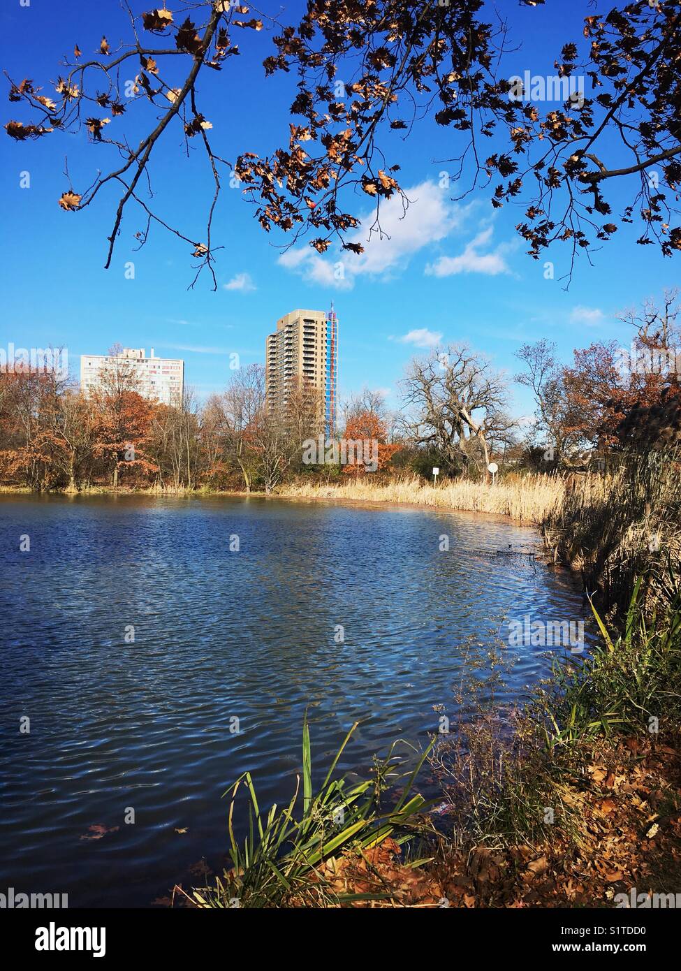 Weequahic park hi-res stock photography and images - Alamy