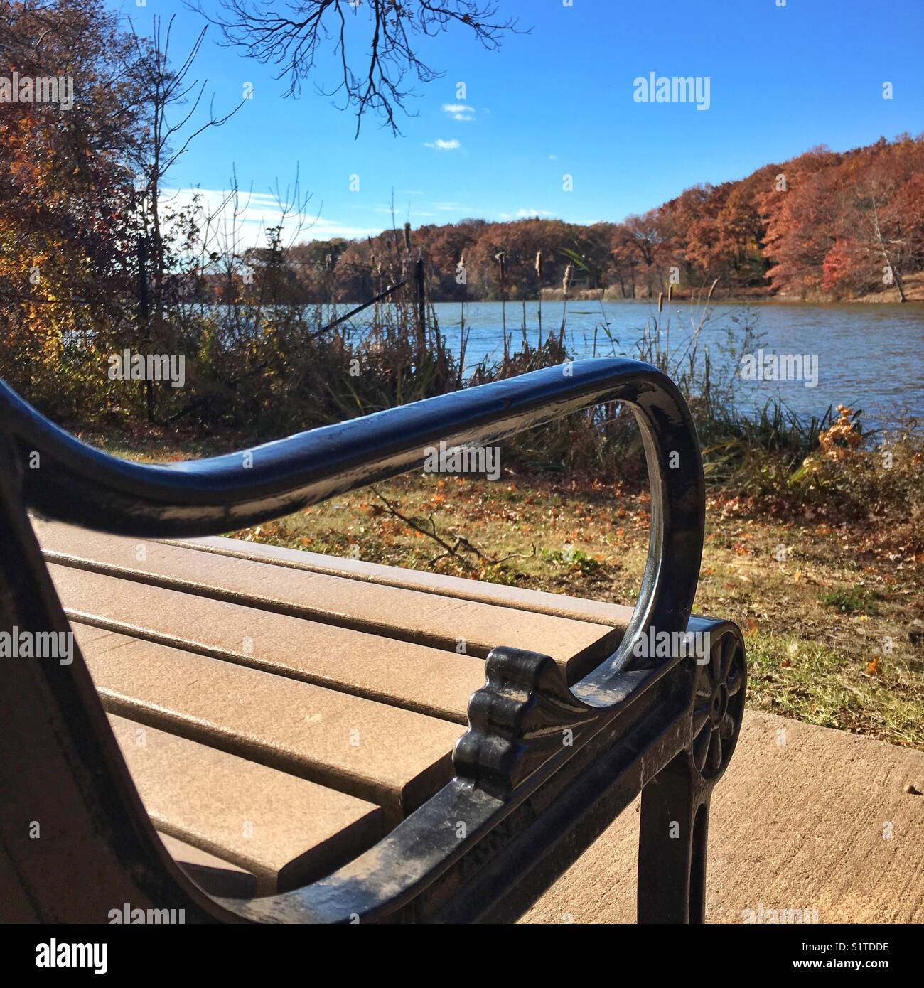 Bench with a lake view Stock Photo - Alamy