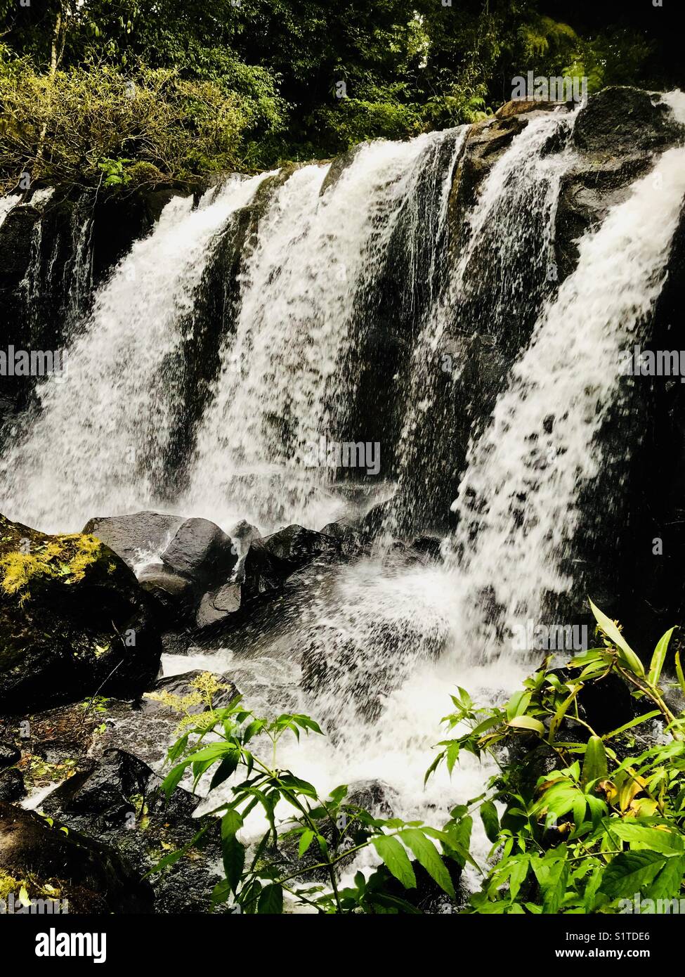 Waterfall in Pakse, Laos Stock Photo - Alamy