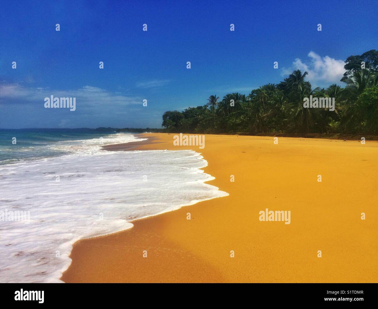 Blue and gold waves hi-res stock photography and images - Alamy