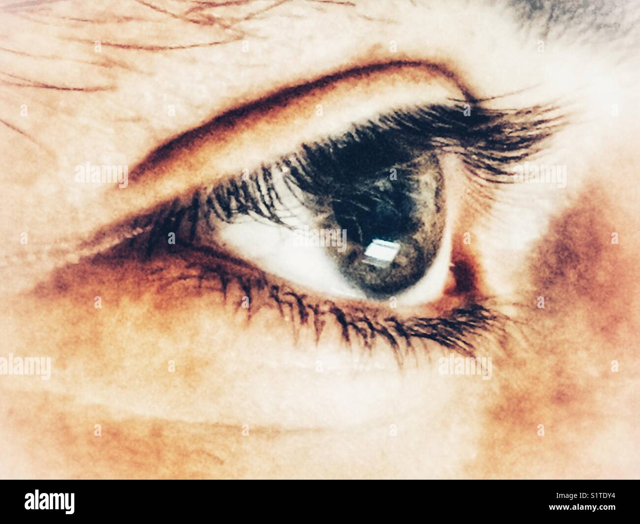 Human eye, teenage girl Stock Photo - Alamy