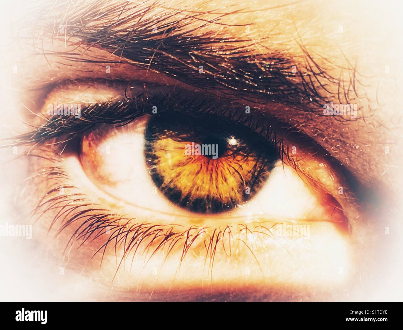 Human eye, Teenage girl Stock Photo - Alamy
