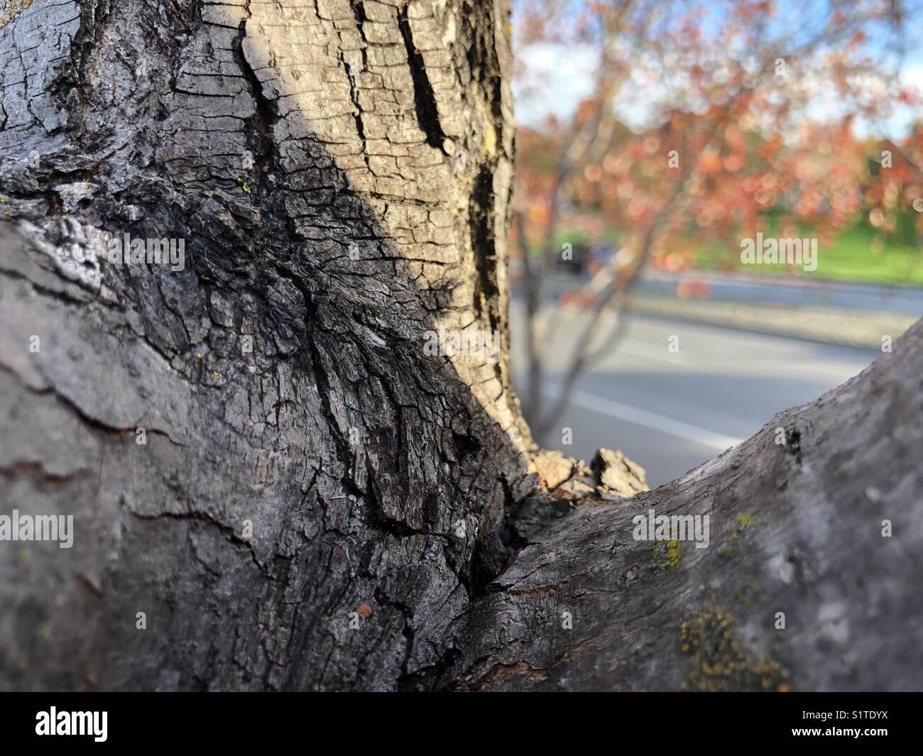 An interesting view hi-res stock photography and images - Alamy
