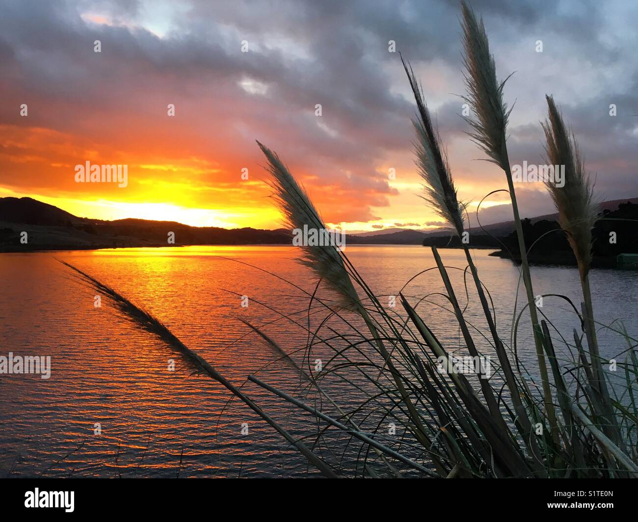 Crystal springs hi-res stock photography and images - Alamy
