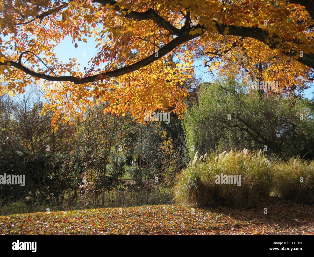 The fall of richmond hi-res stock photography and images - Alamy