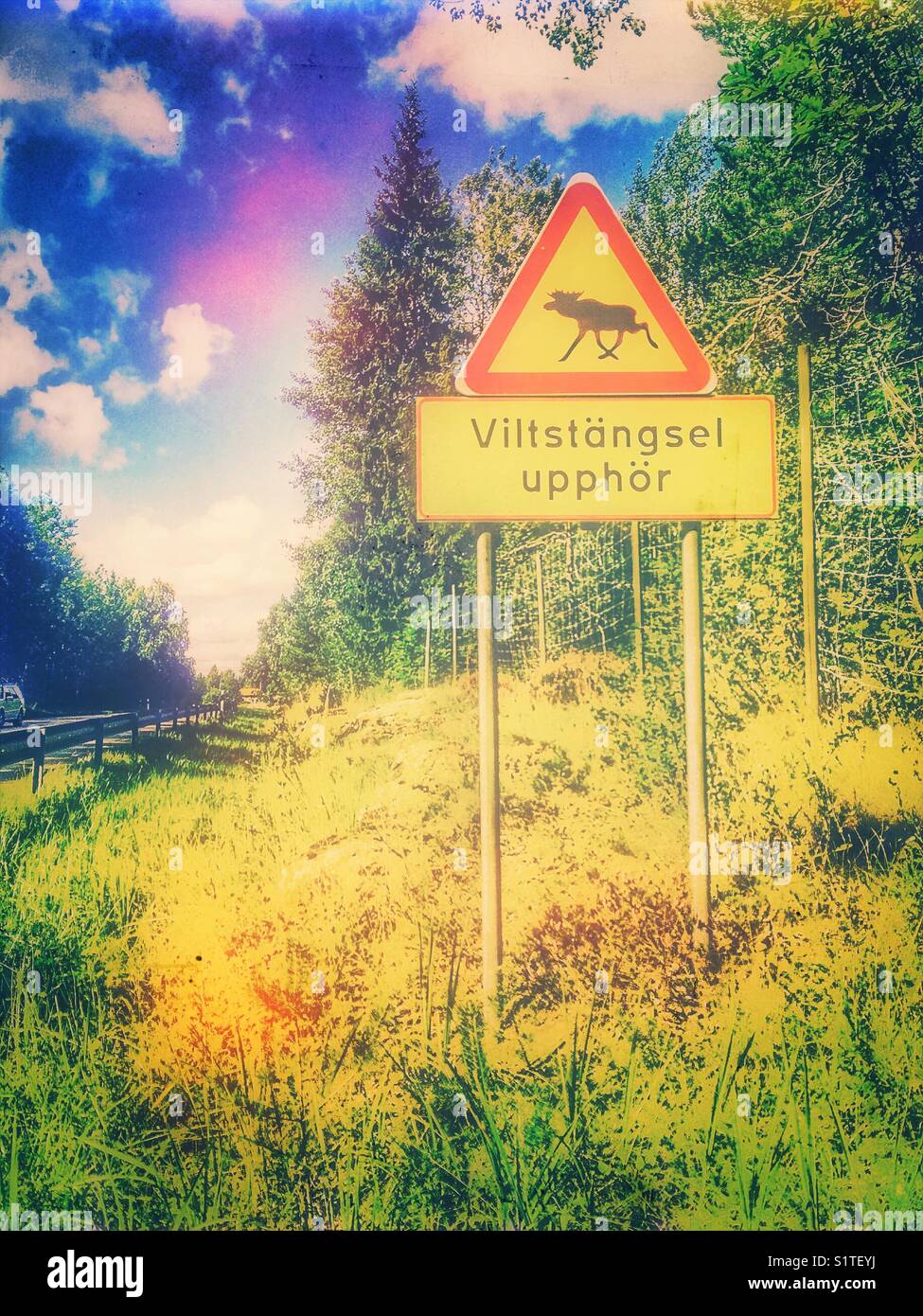 Swedish sign by roadside to say that fencing to keep wild animals off ...