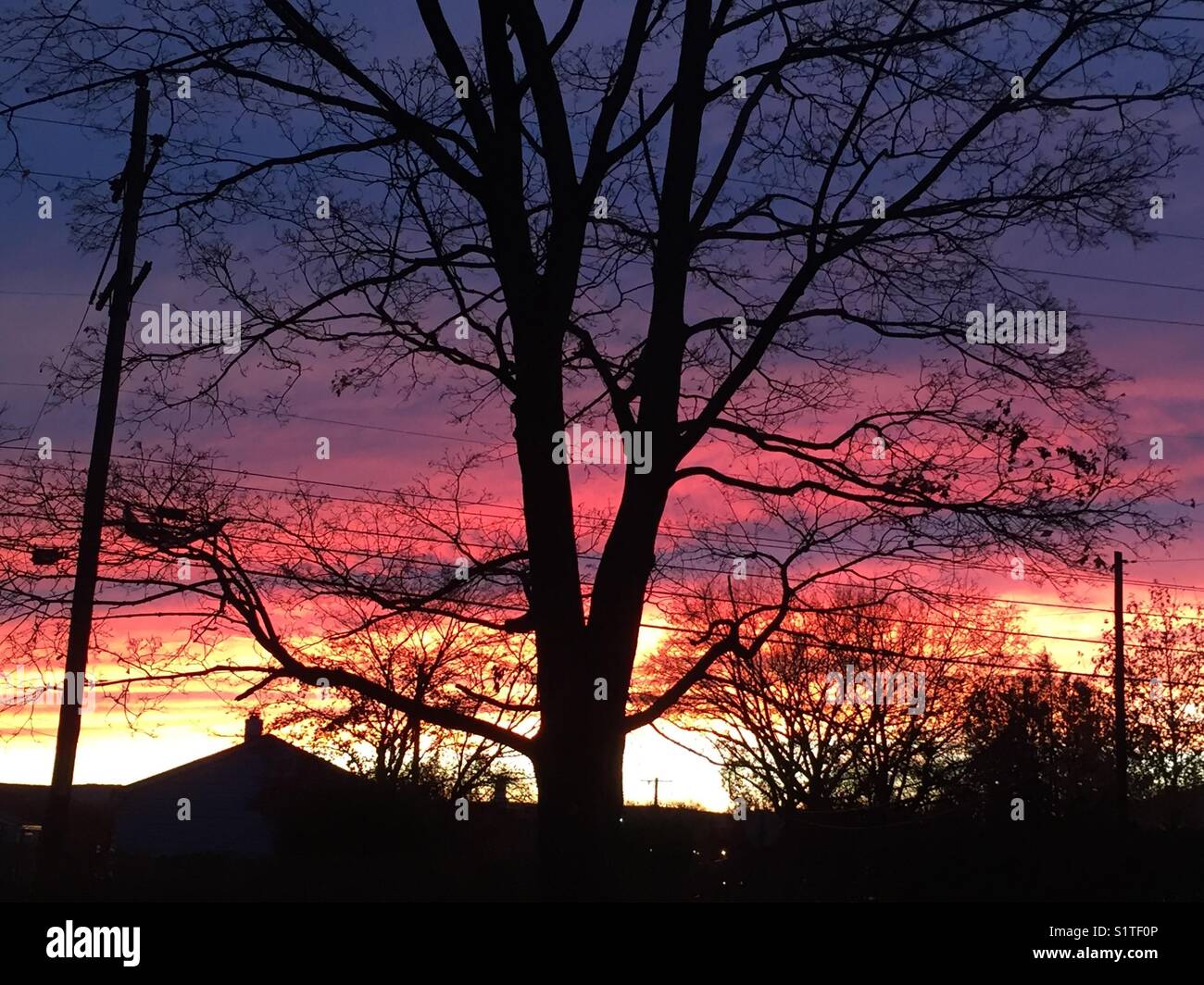 Sunset behind tree hi-res stock photography and images - Alamy