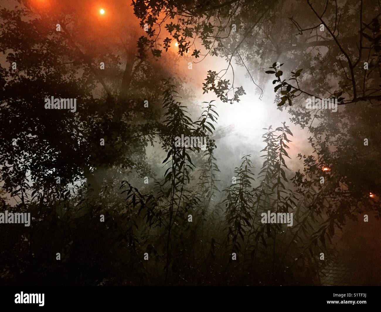 Directional beam hi-res stock photography and images - Alamy