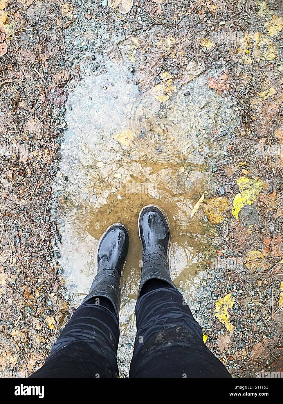 Black rubber boots standing in puddle Stock Photo - Alamy