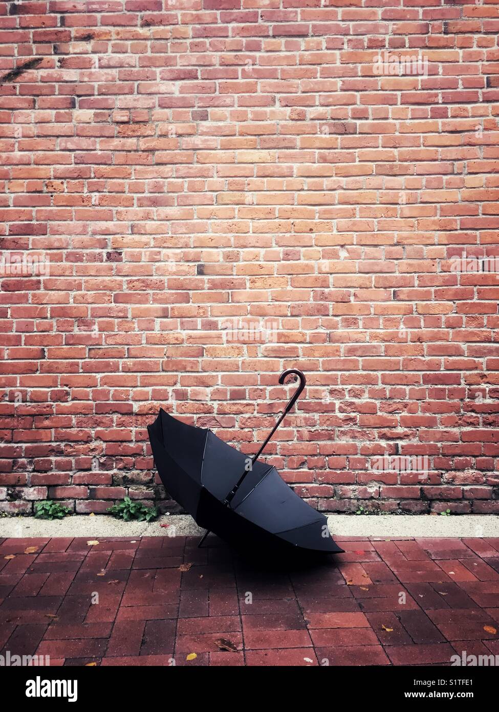 Umbrella patterns hi-res stock photography and images - Alamy