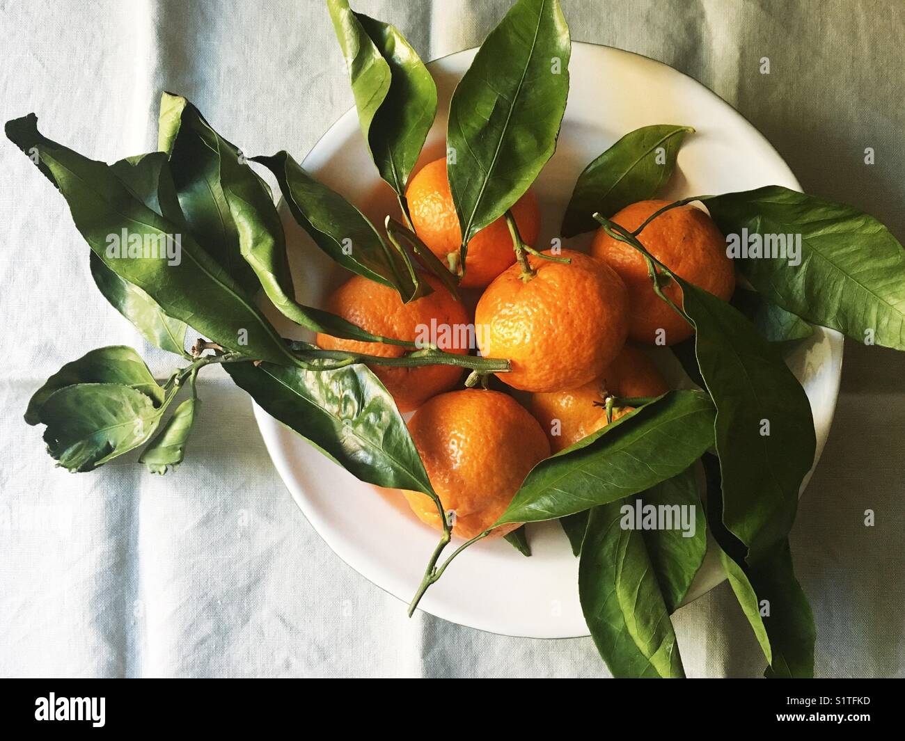 Satsuma with leaves Stock Photo - Alamy