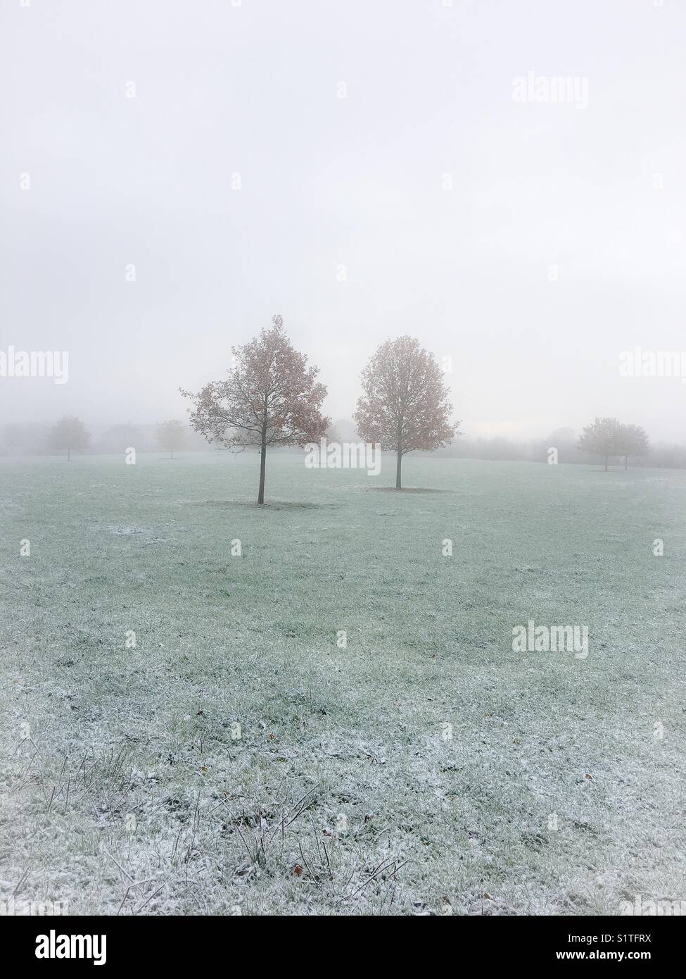 Winter season landscape hi-res stock photography and images - Alamy