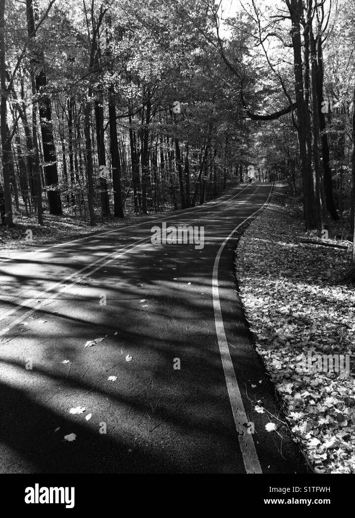 Black and White. Fall Stock Photo - Alamy