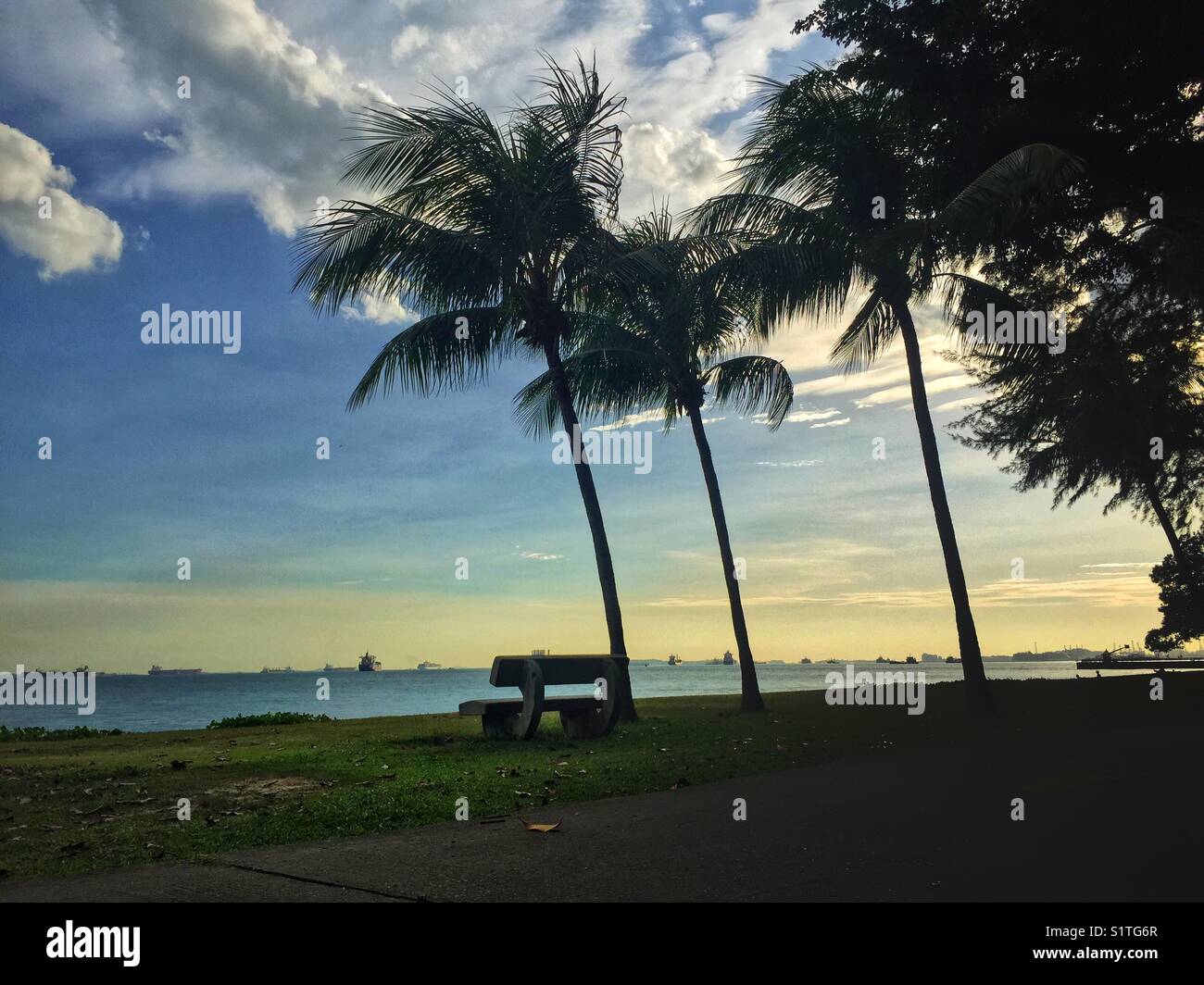 Singapore Bench High Resolution Stock Photography and Images - Alamy