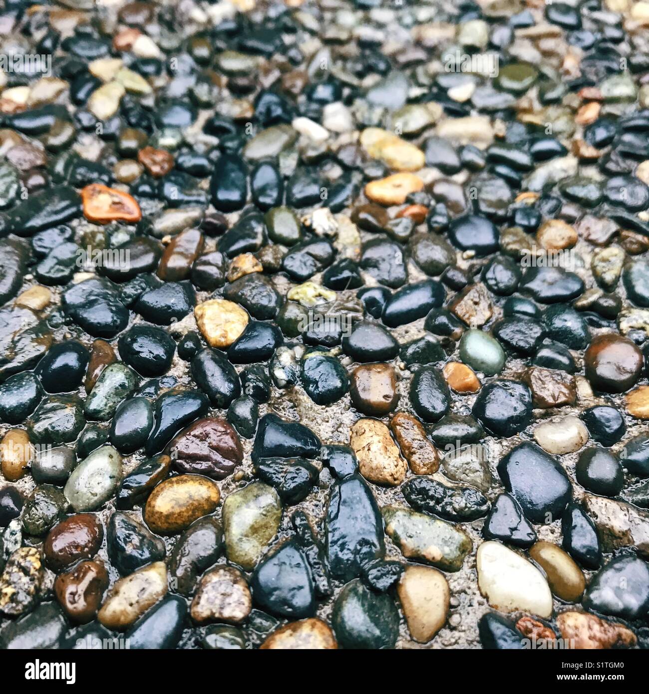 Shiney hi-res stock photography and images - Alamy