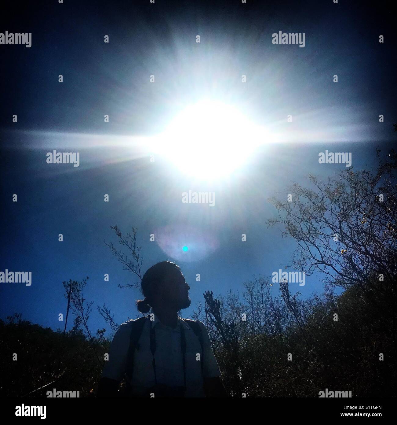A man walks under the sun in the wilderness in Union Zapata, Oaxaca ...