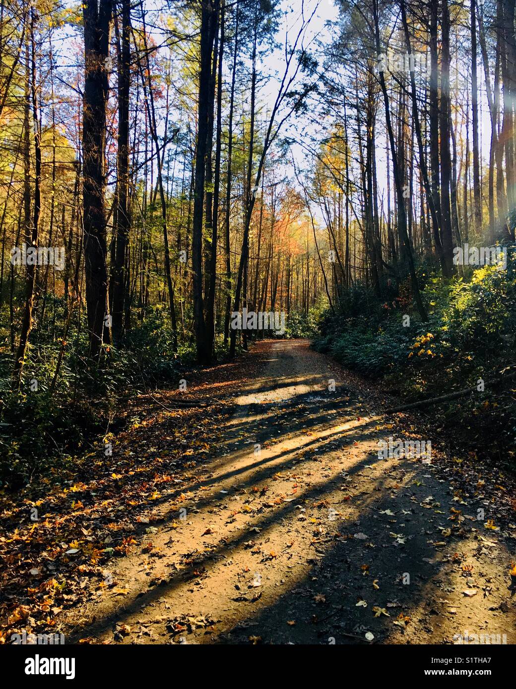 Cherokee national forest hi-res stock photography and images - Alamy