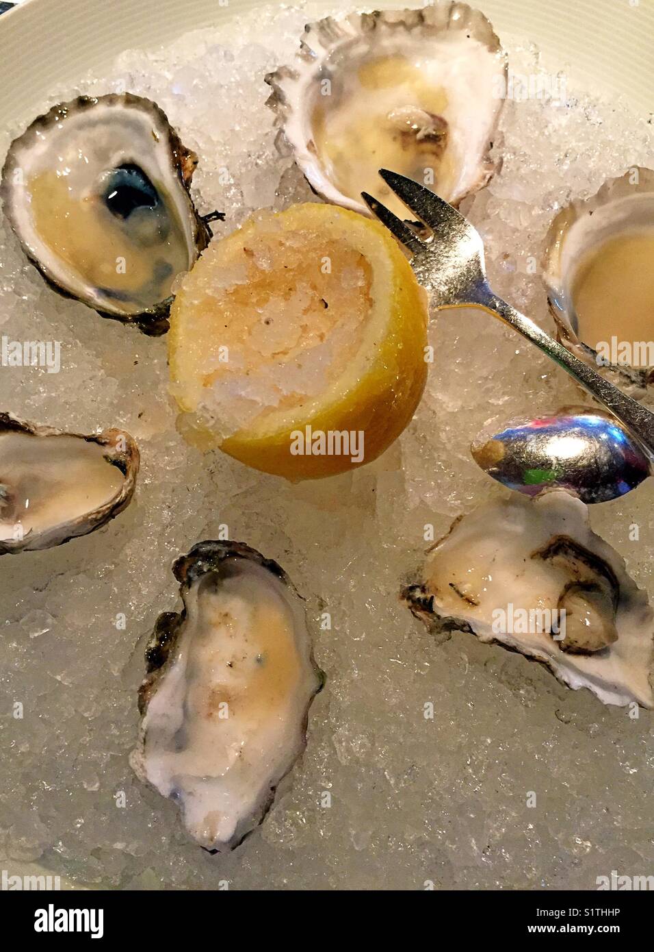 Halfshell hi-res stock photography and images - Alamy