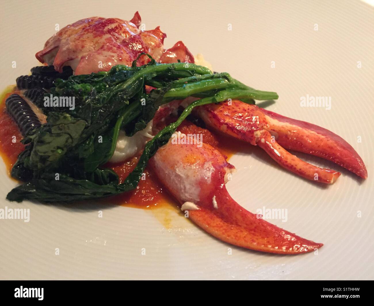 Lobster entrée at gourmet restaurant, New York City, USA Stock Photo ...