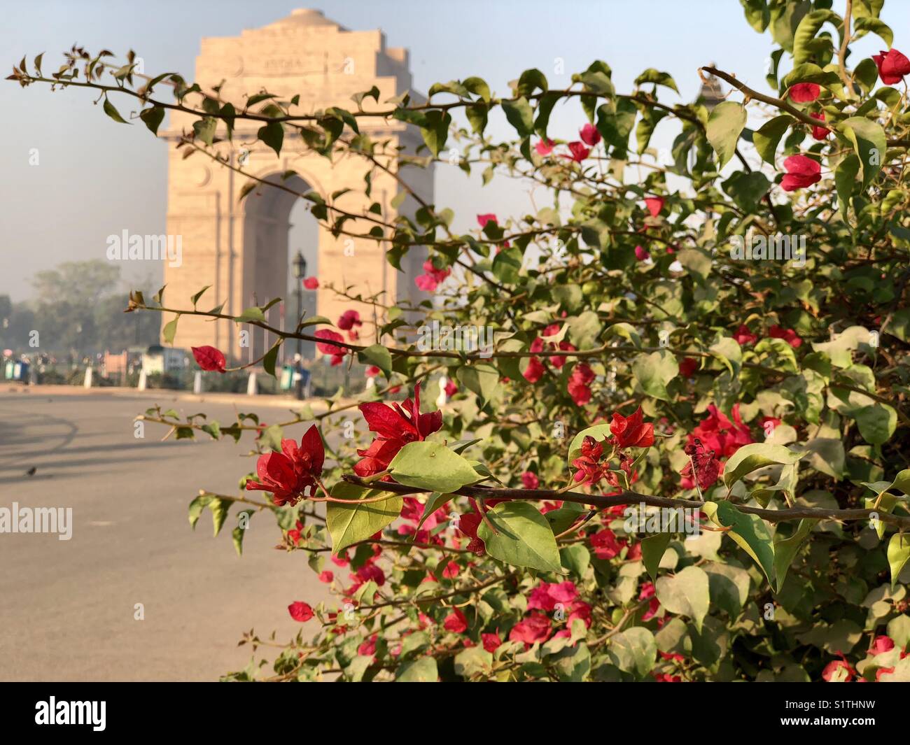 Compound gate hi-res stock photography and images - Alamy