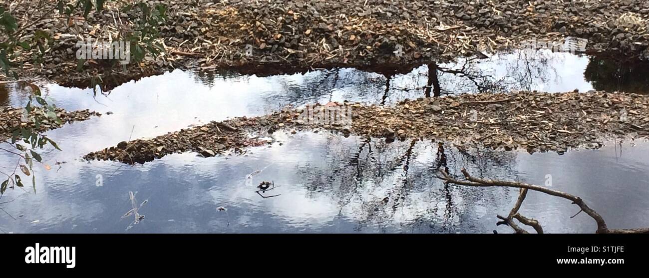 Melbourne australia puddle hi-res stock photography and images - Alamy