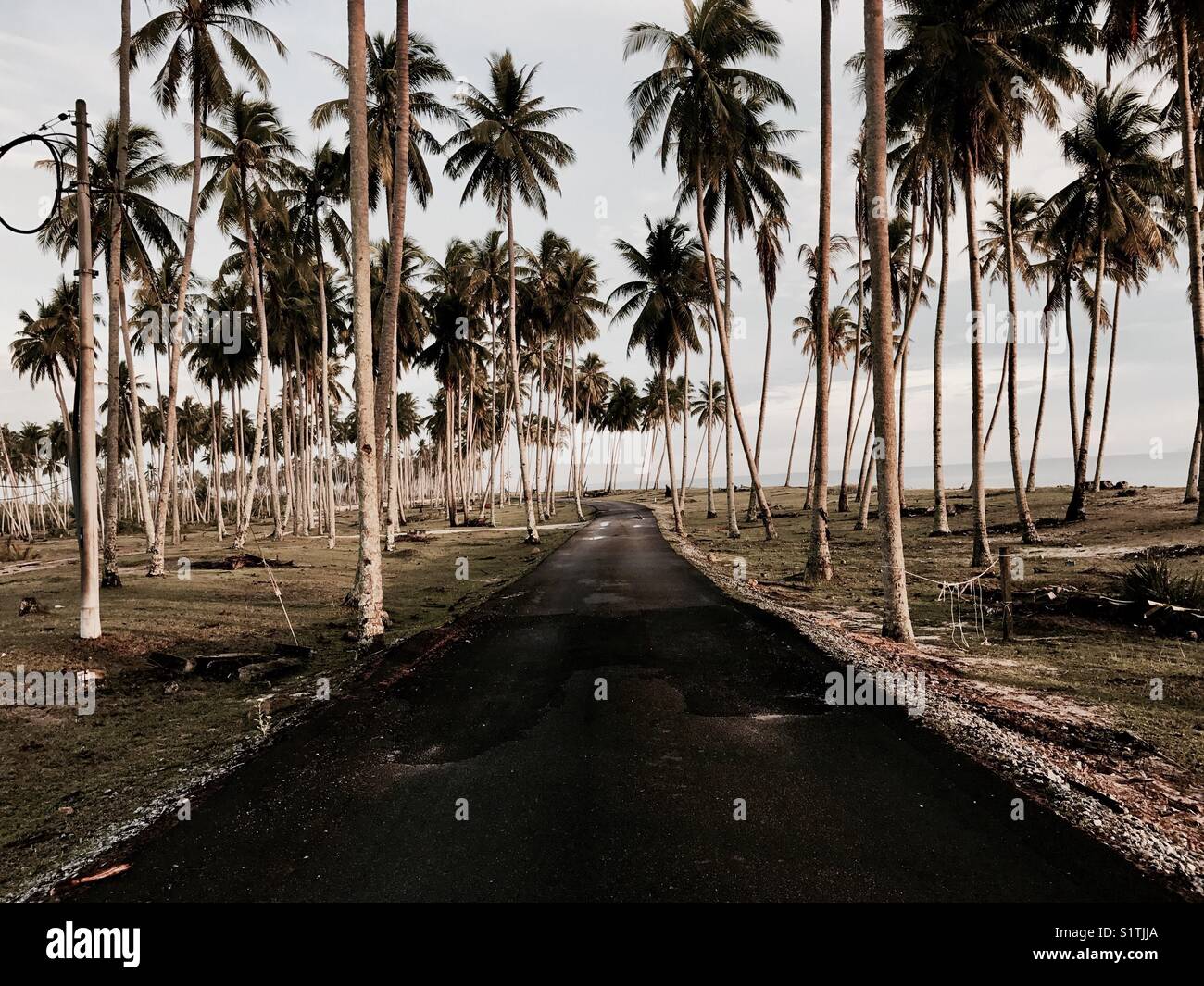 Vintage coconut hi-res stock photography and images - Alamy