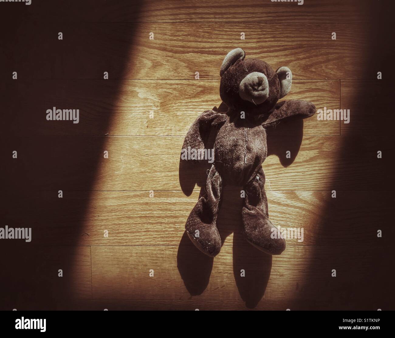 Dropped vintage brown teddy bear laying in a sunbeam on a wooden floor ...