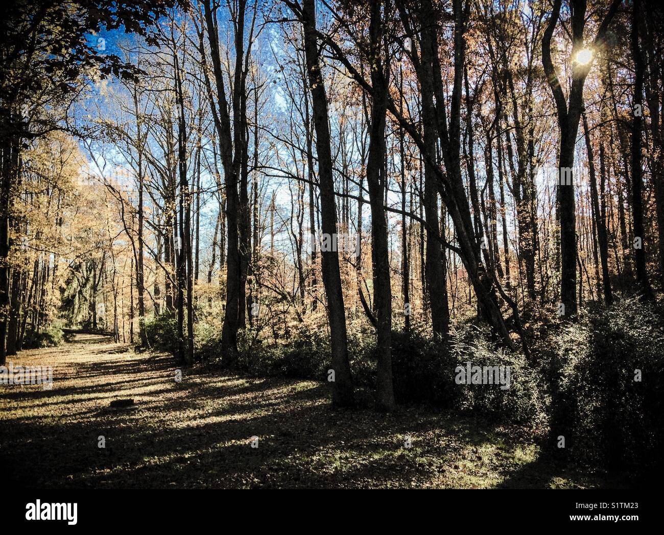 Clearing autumn sky hi-res stock photography and images - Alamy