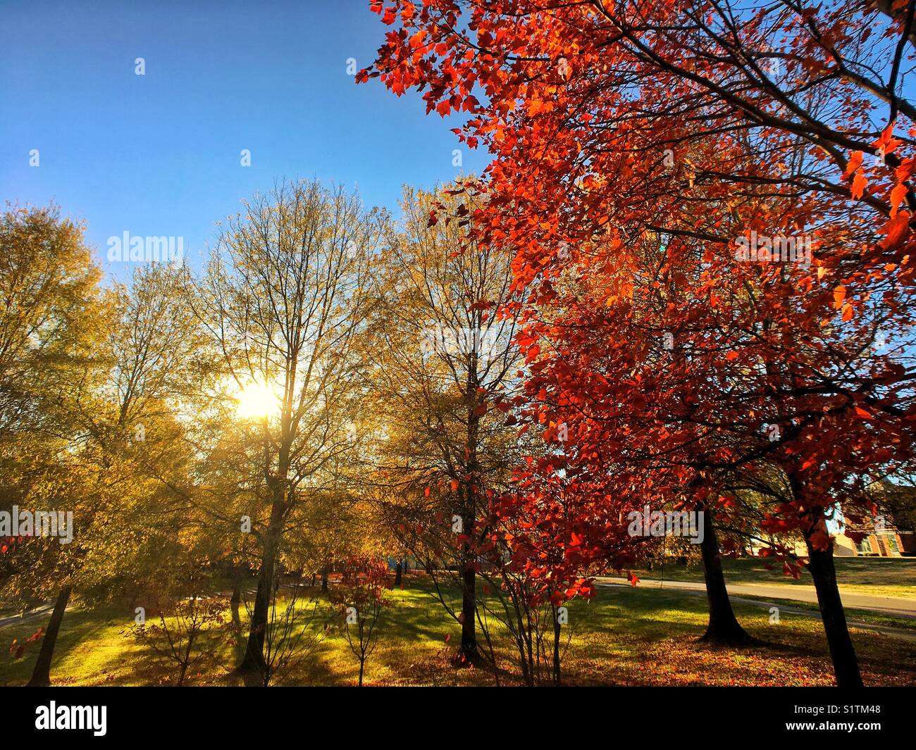 Tennessee fall colors hi-res stock photography and images - Alamy