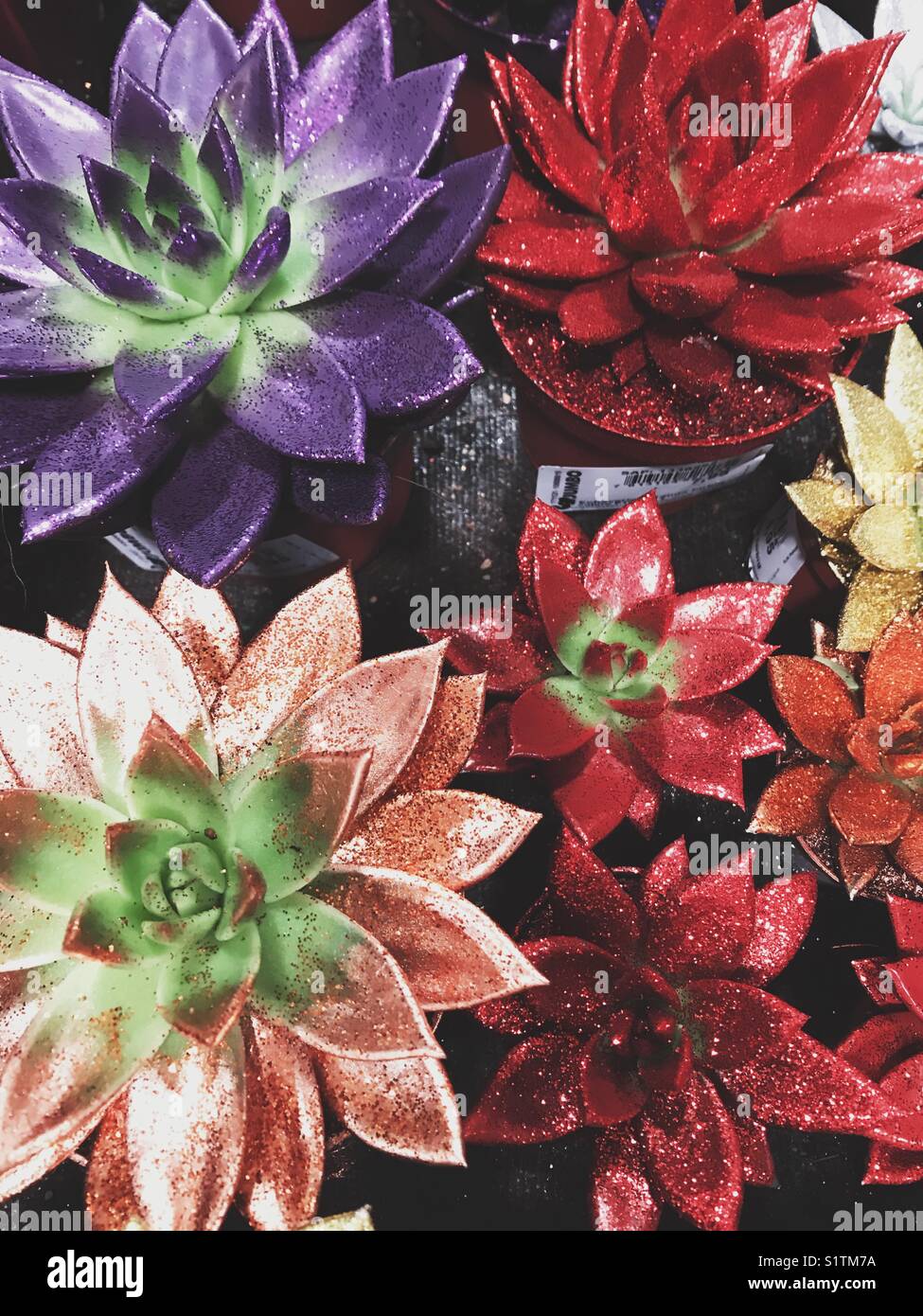 Shiny colours hi-res stock photography and images - Alamy