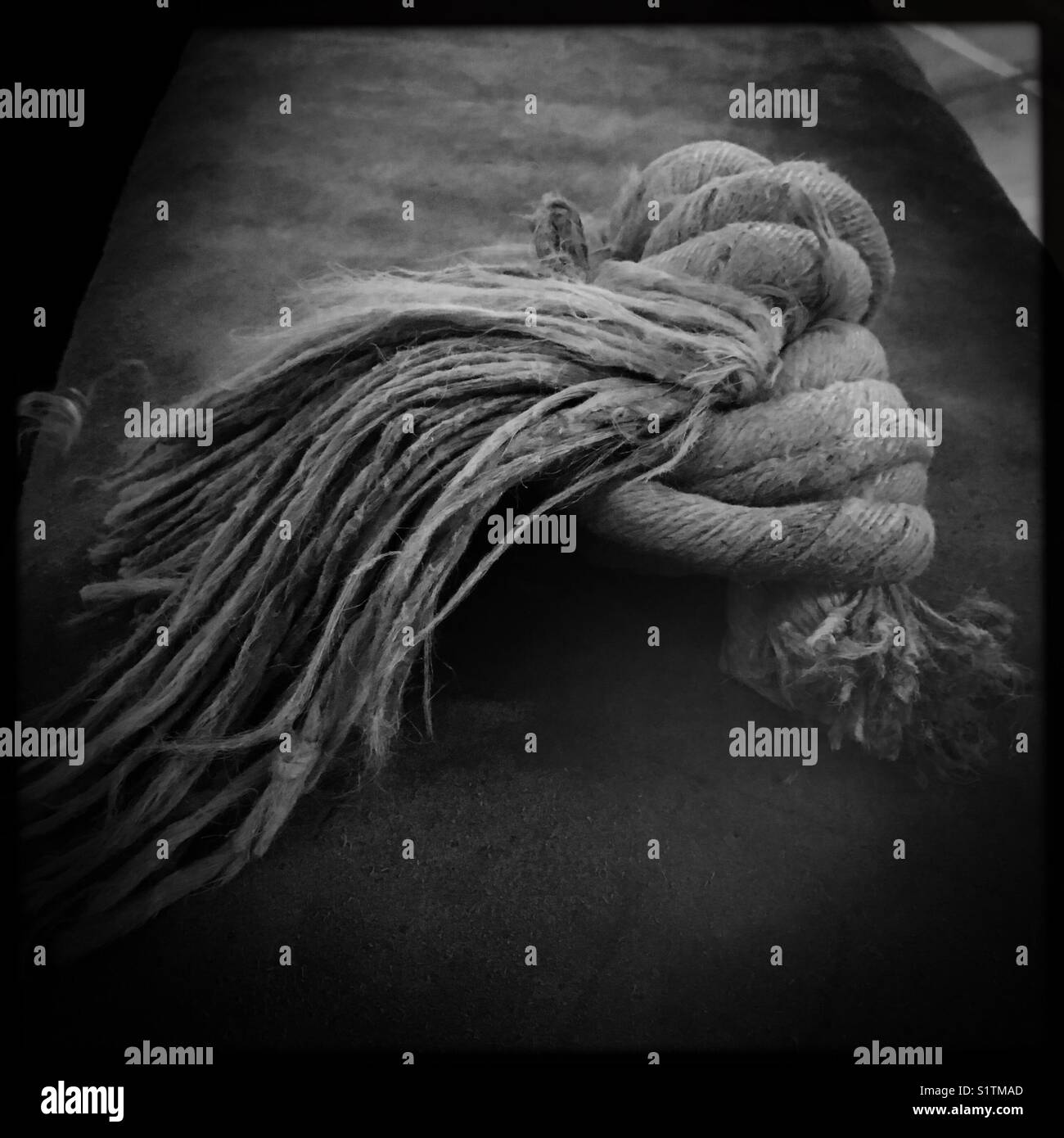 Frayed knot hi-res stock photography and images - Alamy